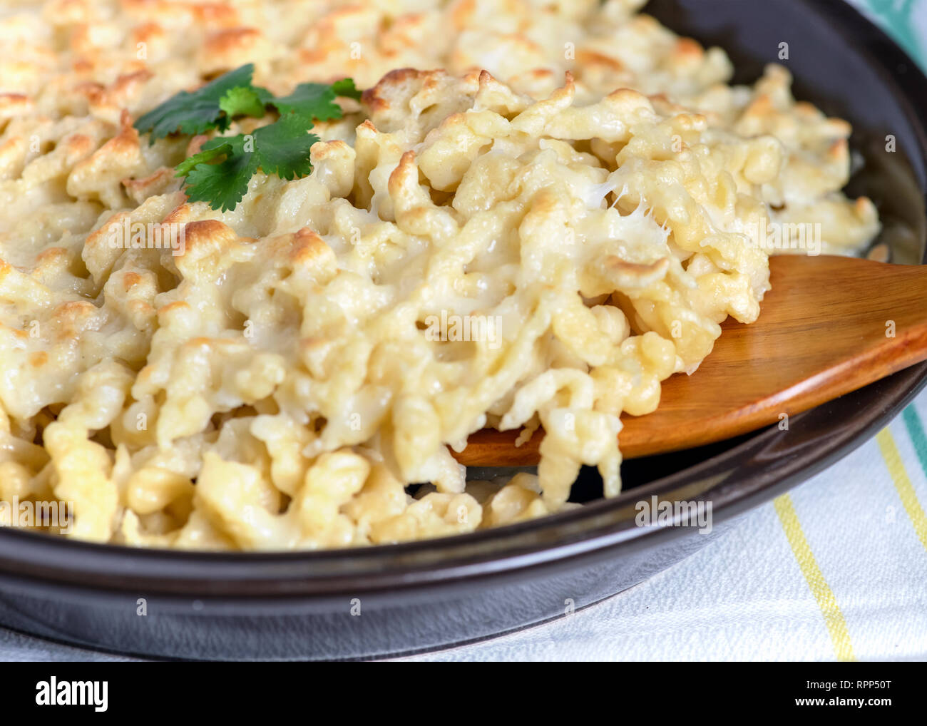 homemade spaetzle with cheese close up shot of a traditiona german ...