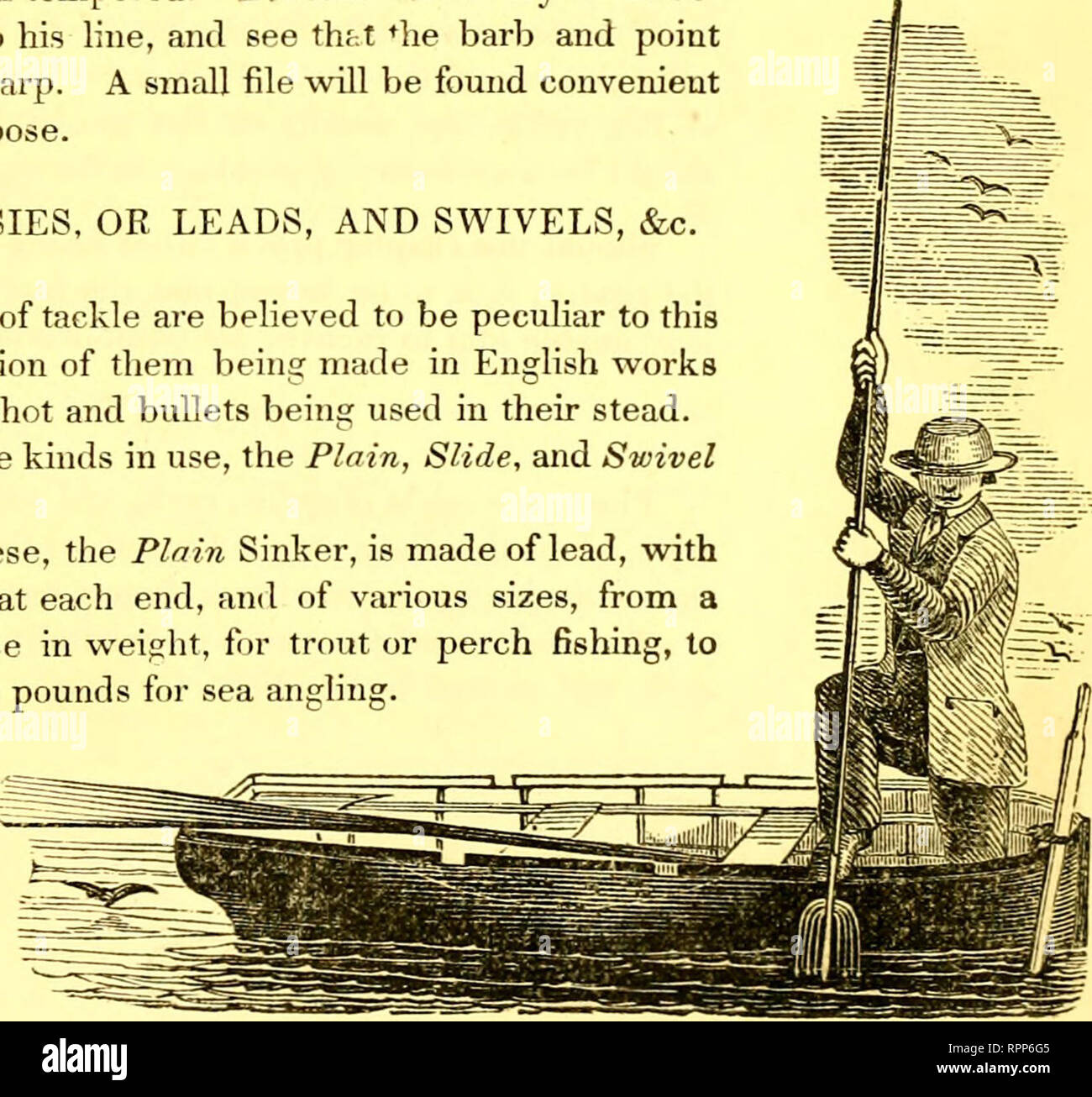 Pickerell hi-res stock photography and images - Alamy