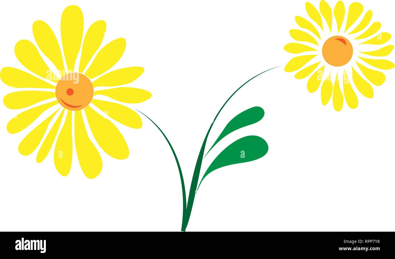 Yellow flower vector illustration isolated on a white background Stock ...