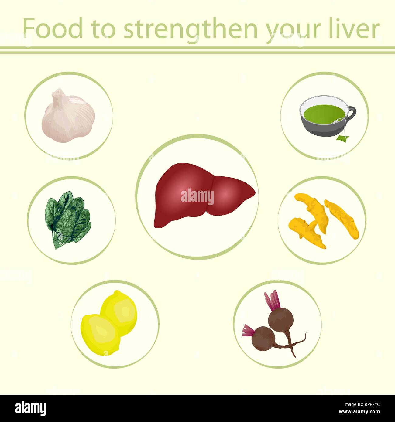 Healthy Food to strengthen your liver vector infographics Stock Vector ...