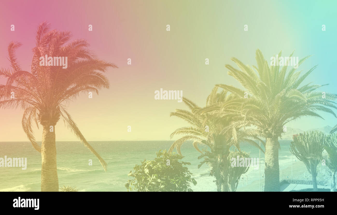 Toned photos of the palm trees, purple yellow pink, blue colors ...