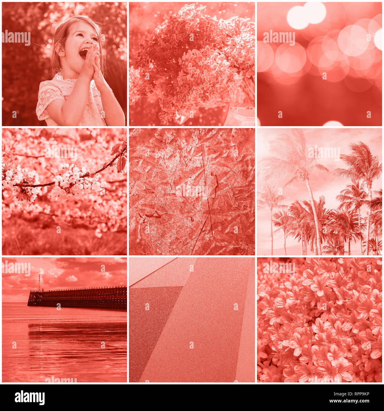 Laughing colors hi-res stock photography and images - Alamy