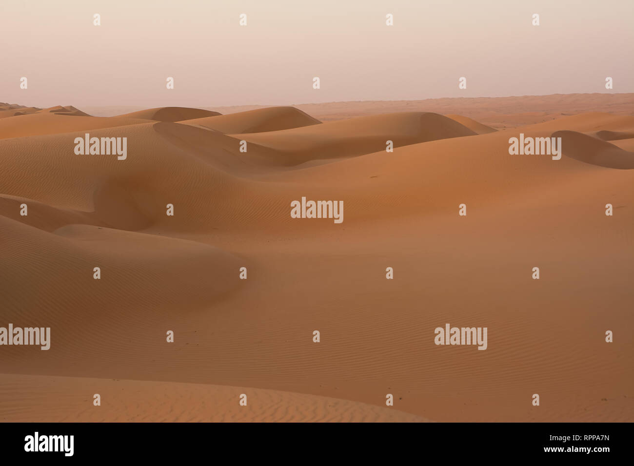 Dunes of the Wahiba Sand Desert at dawn (Oman Stock Photo - Alamy