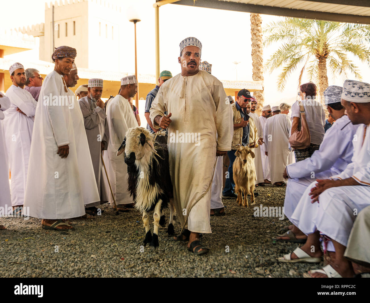 Nizwa, Oman - November 2, 2018: Omani man shows a sheep for auction at ...
