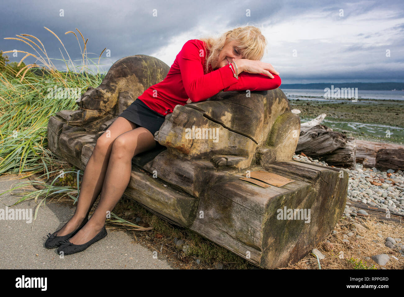 Log bench hi-res stock photography and images - Alamy