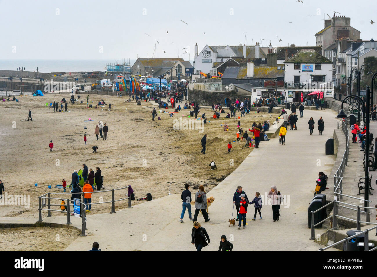 Lyme Regis, Dorset, UK. 22nd February 2019. UK Weather. Visitors on the ...