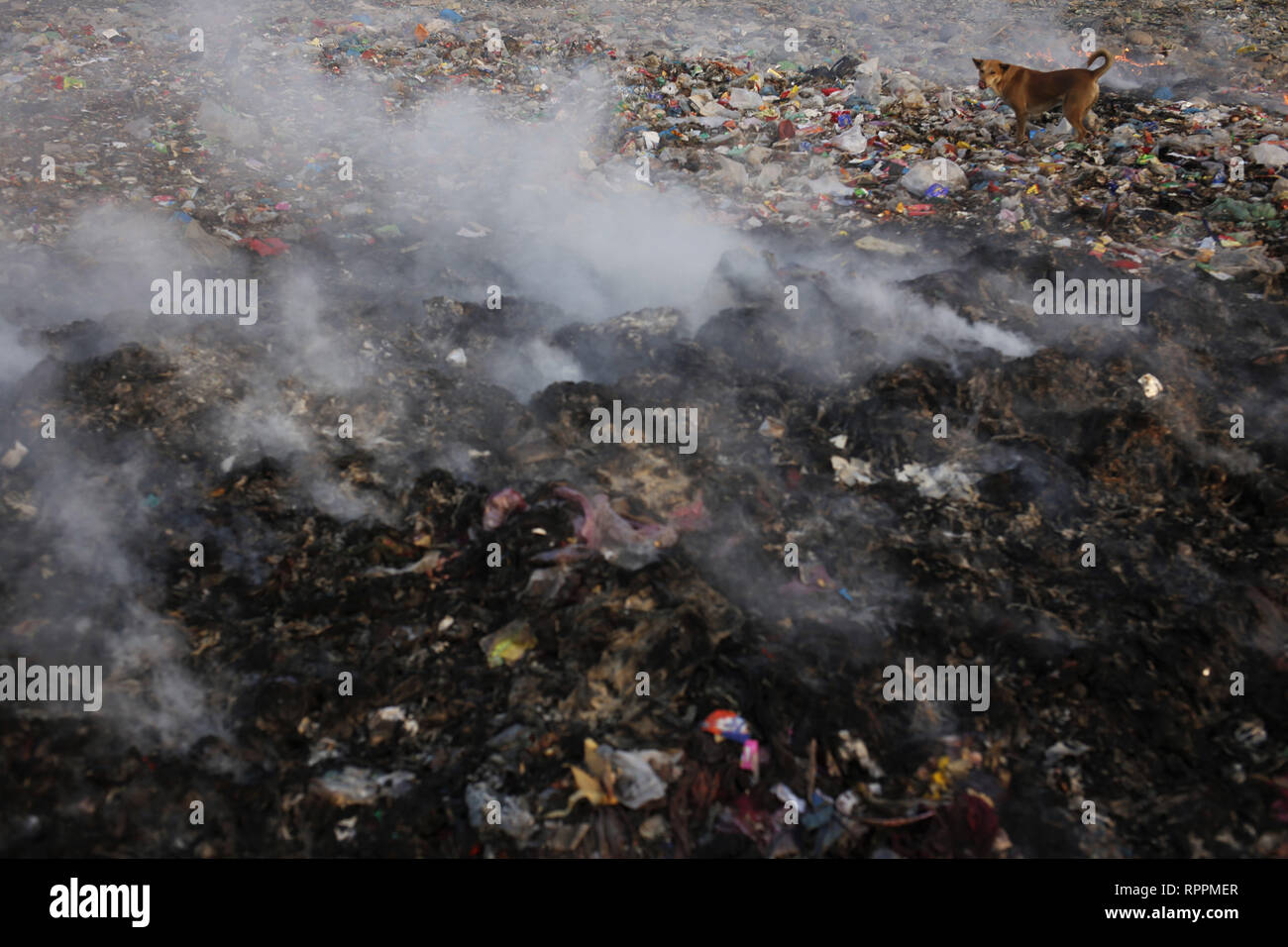 Polluted areas hi-res stock photography and images - Alamy