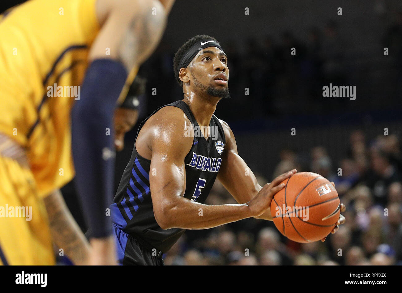 Golden bulls eyes hi-res stock photography and images - Alamy