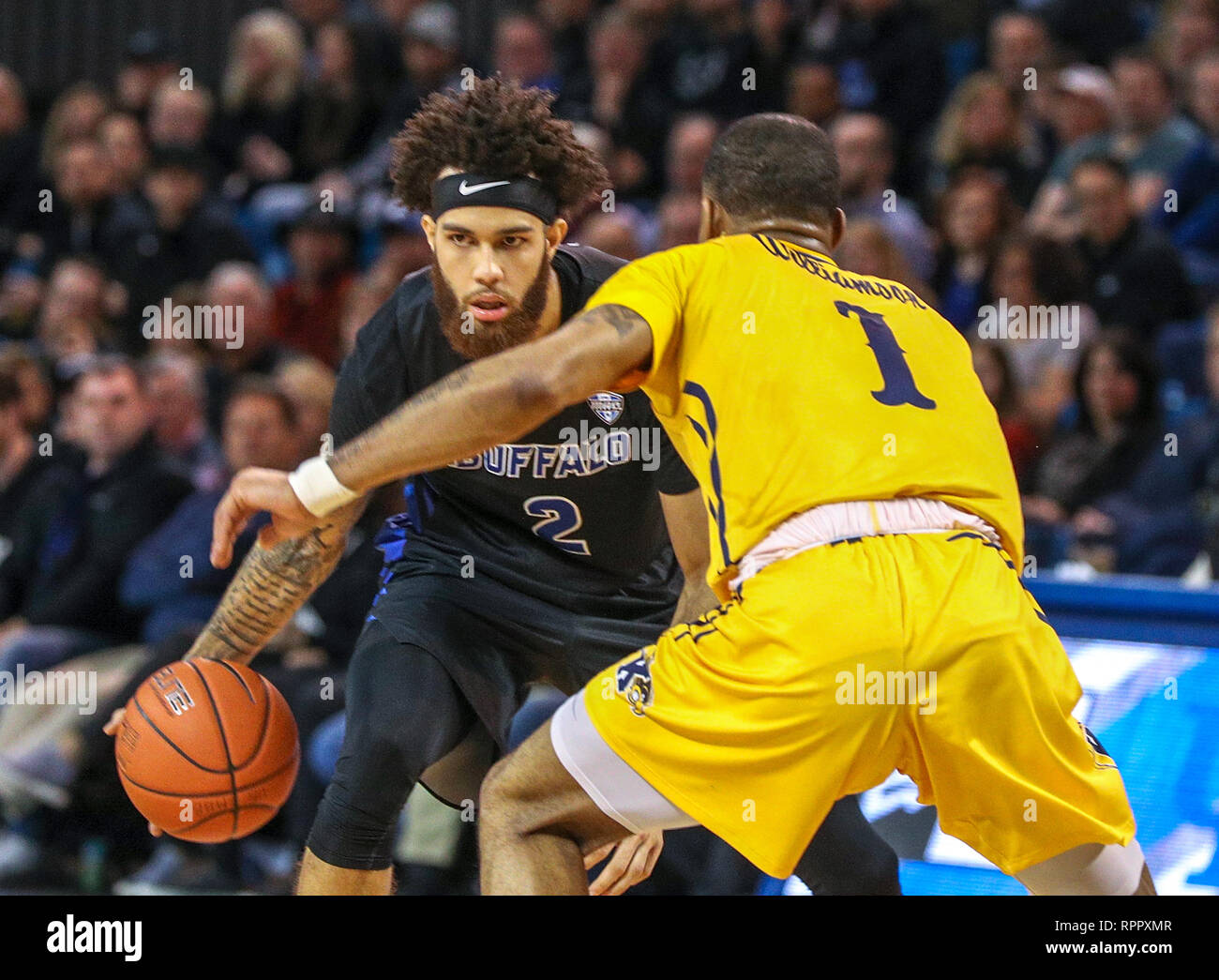 Williamson buffalo hi-res stock photography and images - Alamy