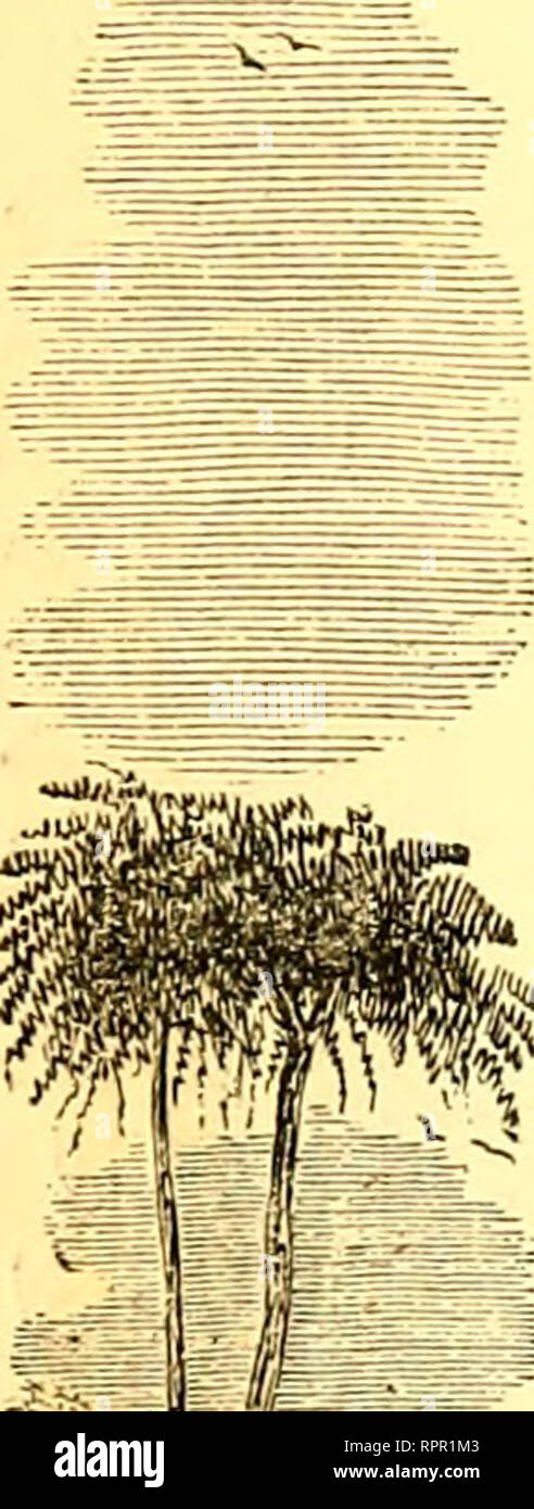 Throwing fish overboard hi-res stock photography and images - Alamy