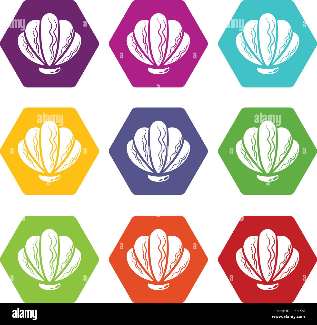 Beautiful shell icons set 9 vector Stock Vector Image & Art - Alamy