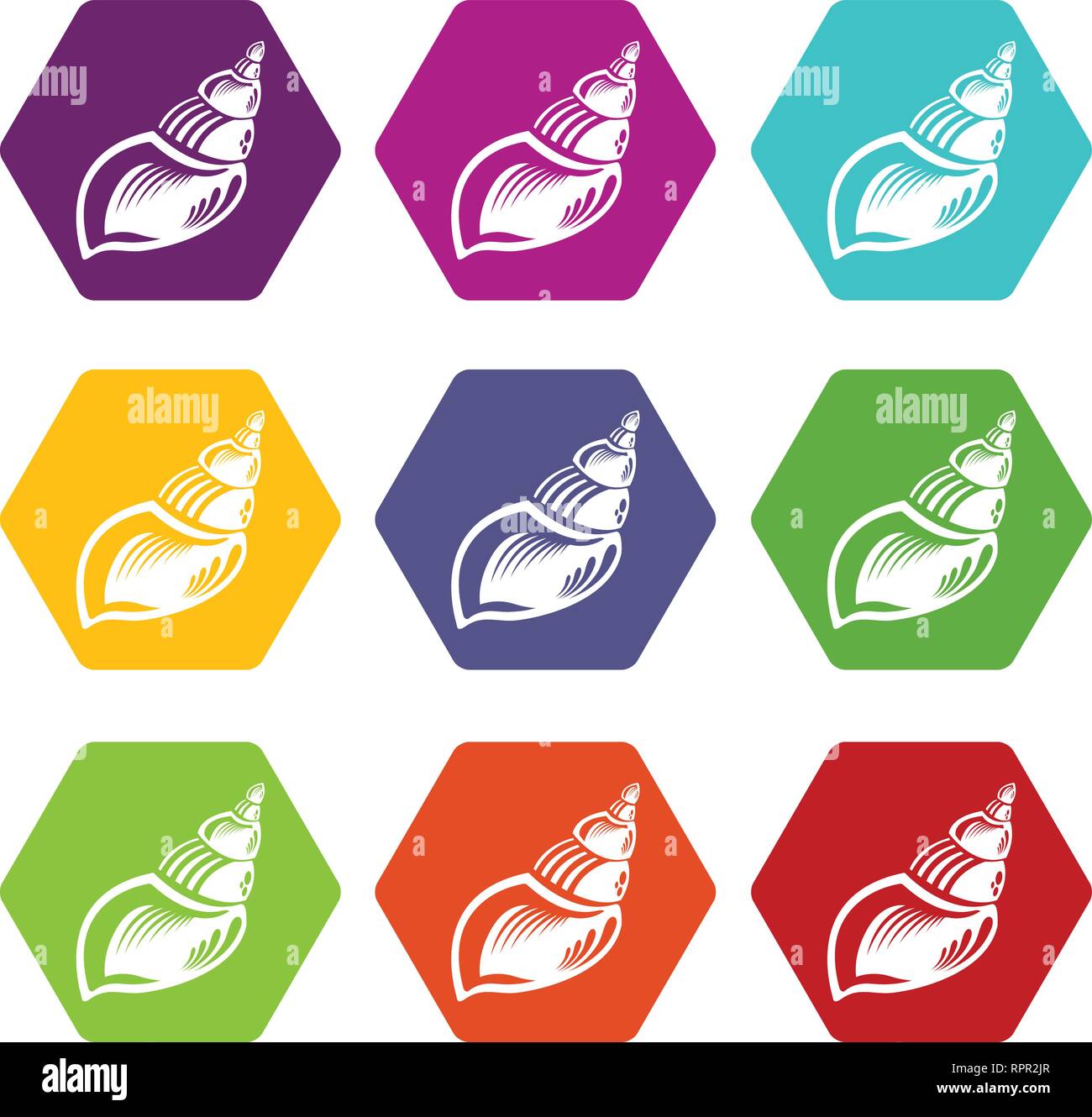 Wild shell icons set 9 vector Stock Vector Image & Art - Alamy