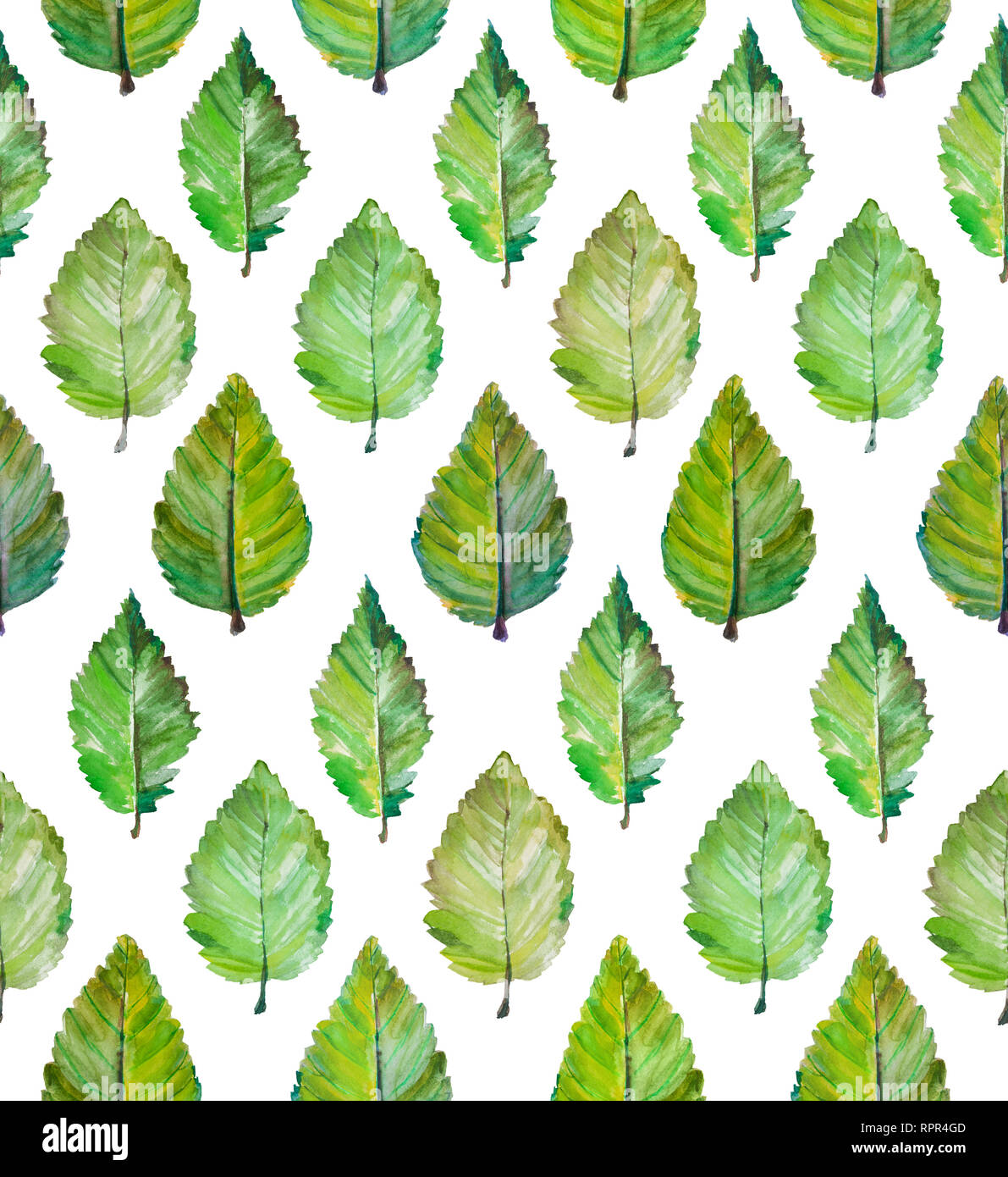 Green lwatercolor eaves on white background. Seamless leaves pattern ...