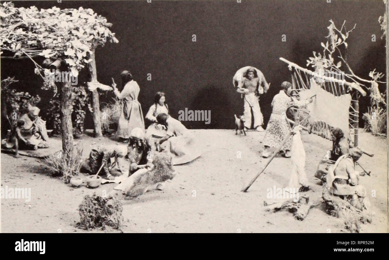 Indian tribes of florida hi-res stock photography and images - Alamy