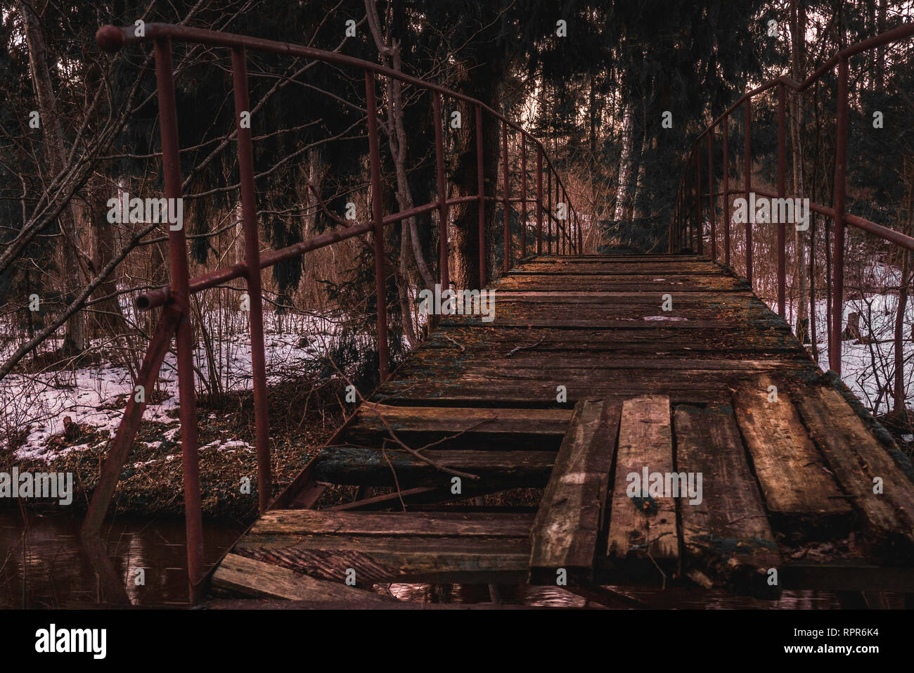 the texture of the destroyed wooden bridge in evening, way in forest ...