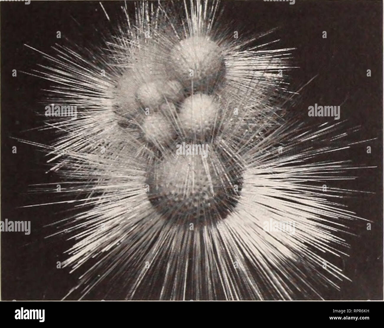 Cell biology museum hi-res stock photography and images - Alamy