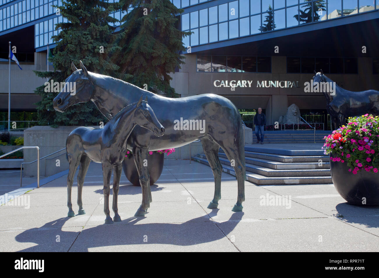 Walking tour calgary statues hi-res stock photography and images - Alamy