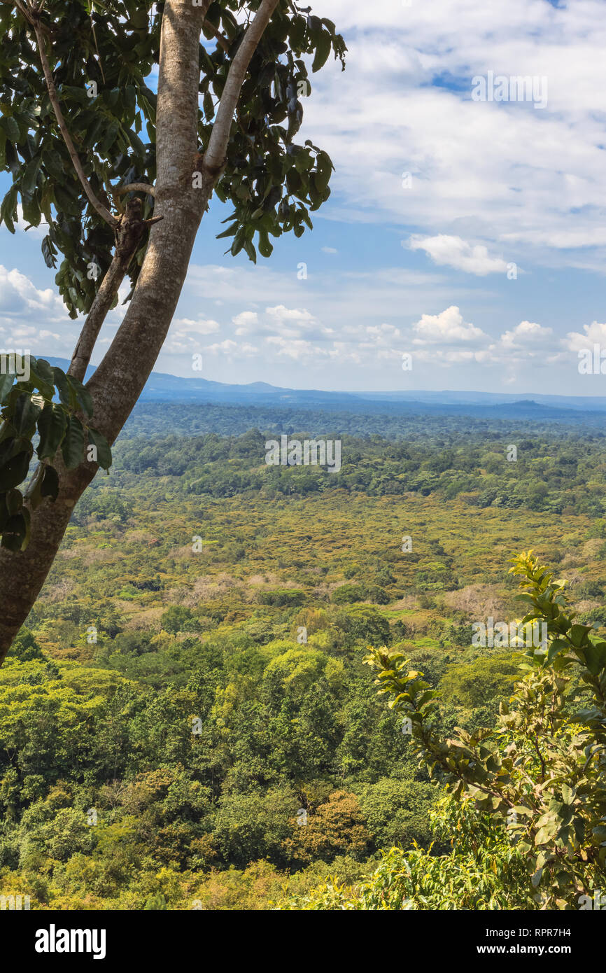 Landscapes in Kakamega Forest. Kenya, Africa Stock Photo - Alamy