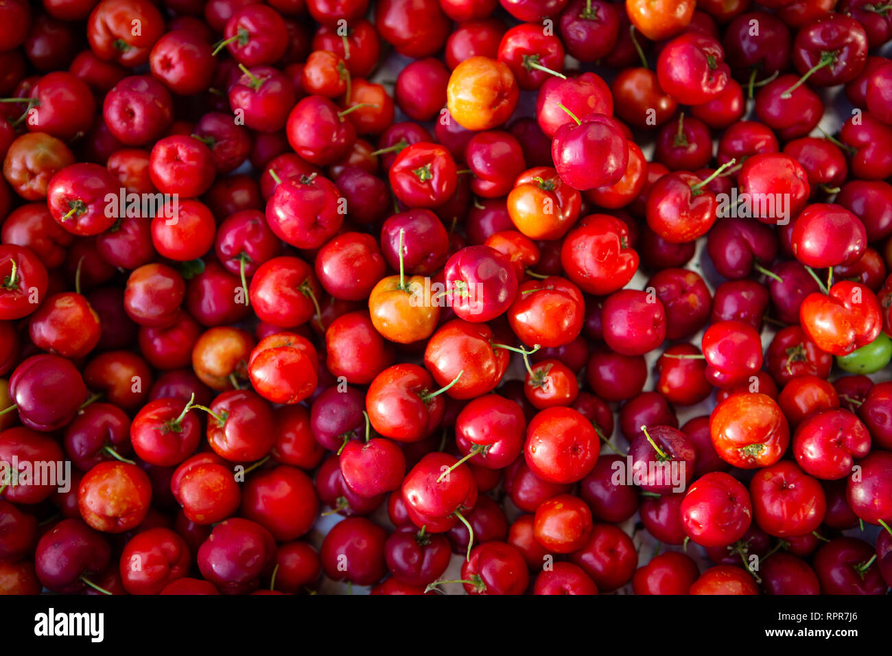 Close up of fresh "Acerola" cherry fruits. The acerola juice contains ...