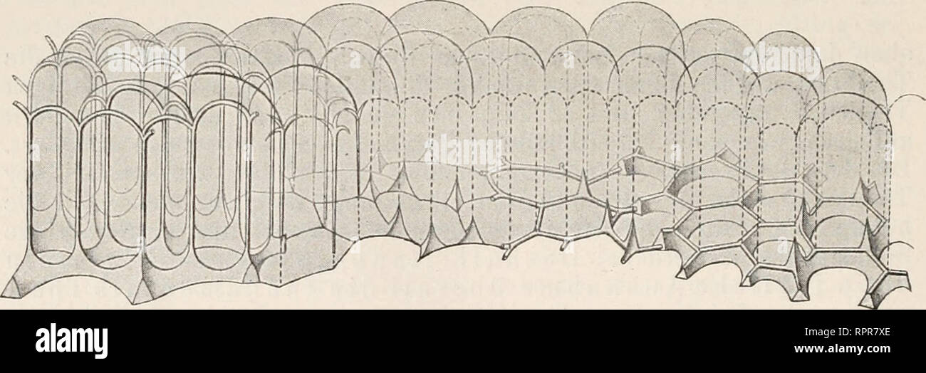 Vier kalk hi-res stock photography and images - Alamy