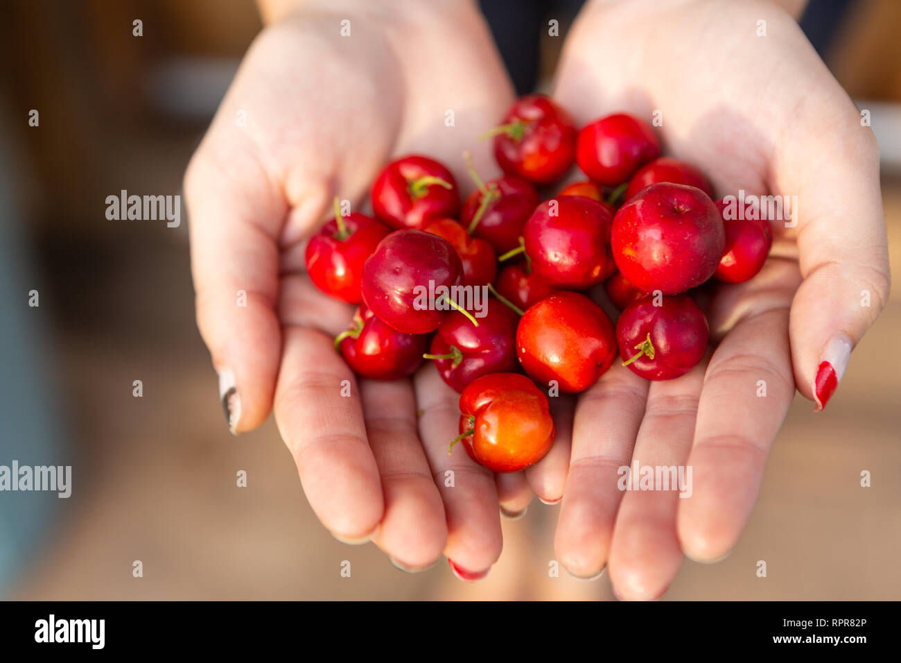 Acerola cherry hi res stock photography and images Alamy