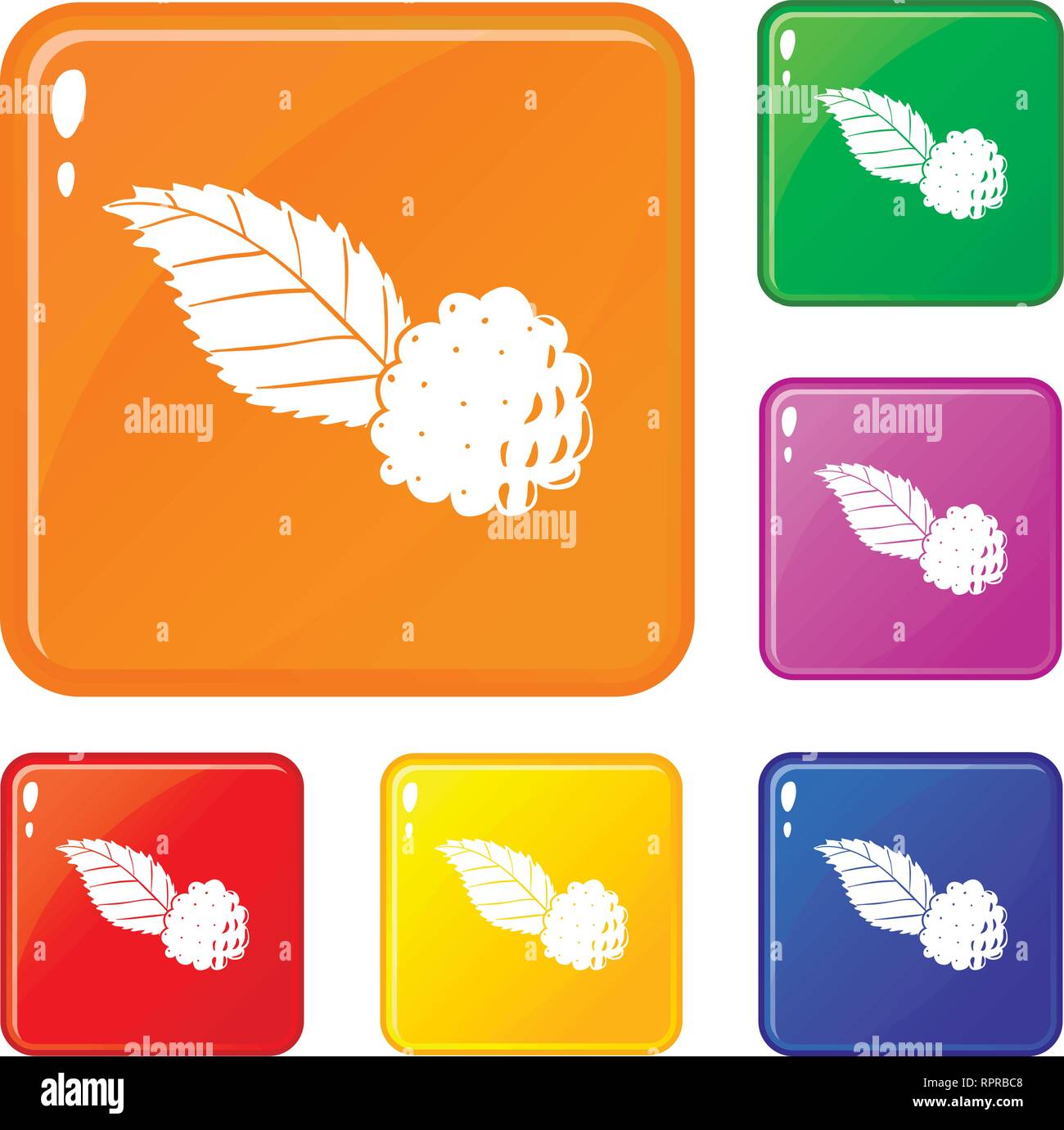 Blackberry icons set vector color Stock Vector Image & Art - Alamy