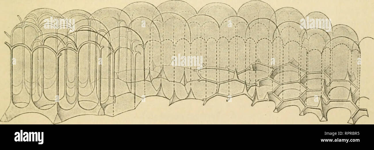 Vier kalk hi-res stock photography and images - Alamy