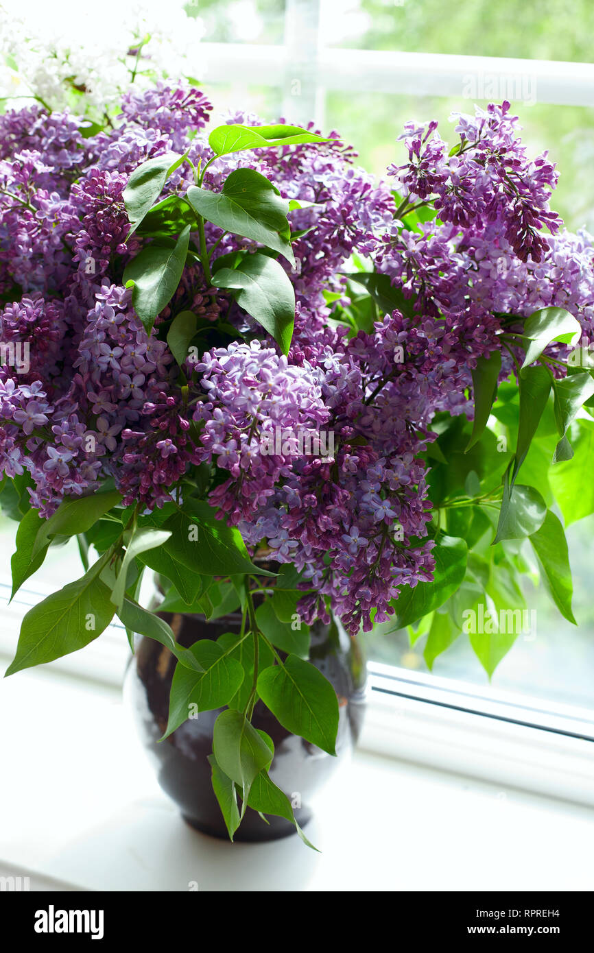 bunch of lilac in vase on window-sill Stock Photo - Alamy