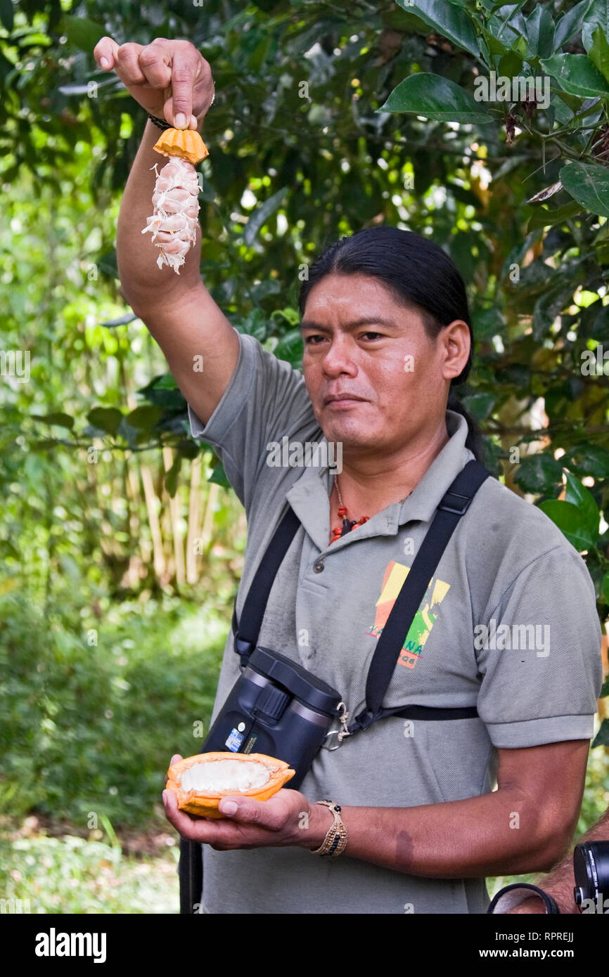 Indigenous chocolate hi-res stock photography and images - Alamy