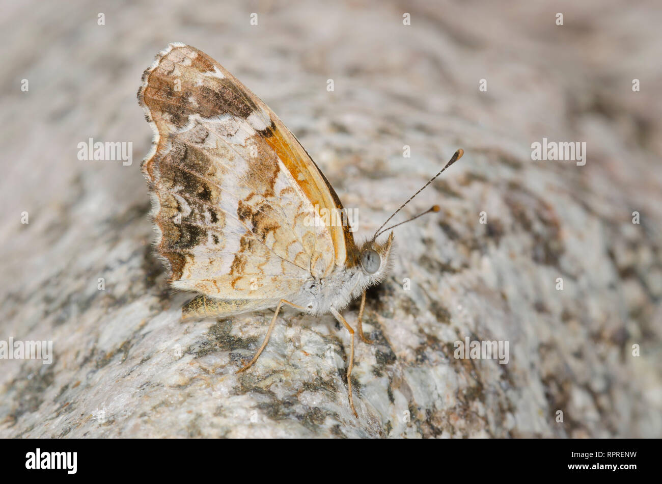 Canyon crescent hi-res stock photography and images - Alamy