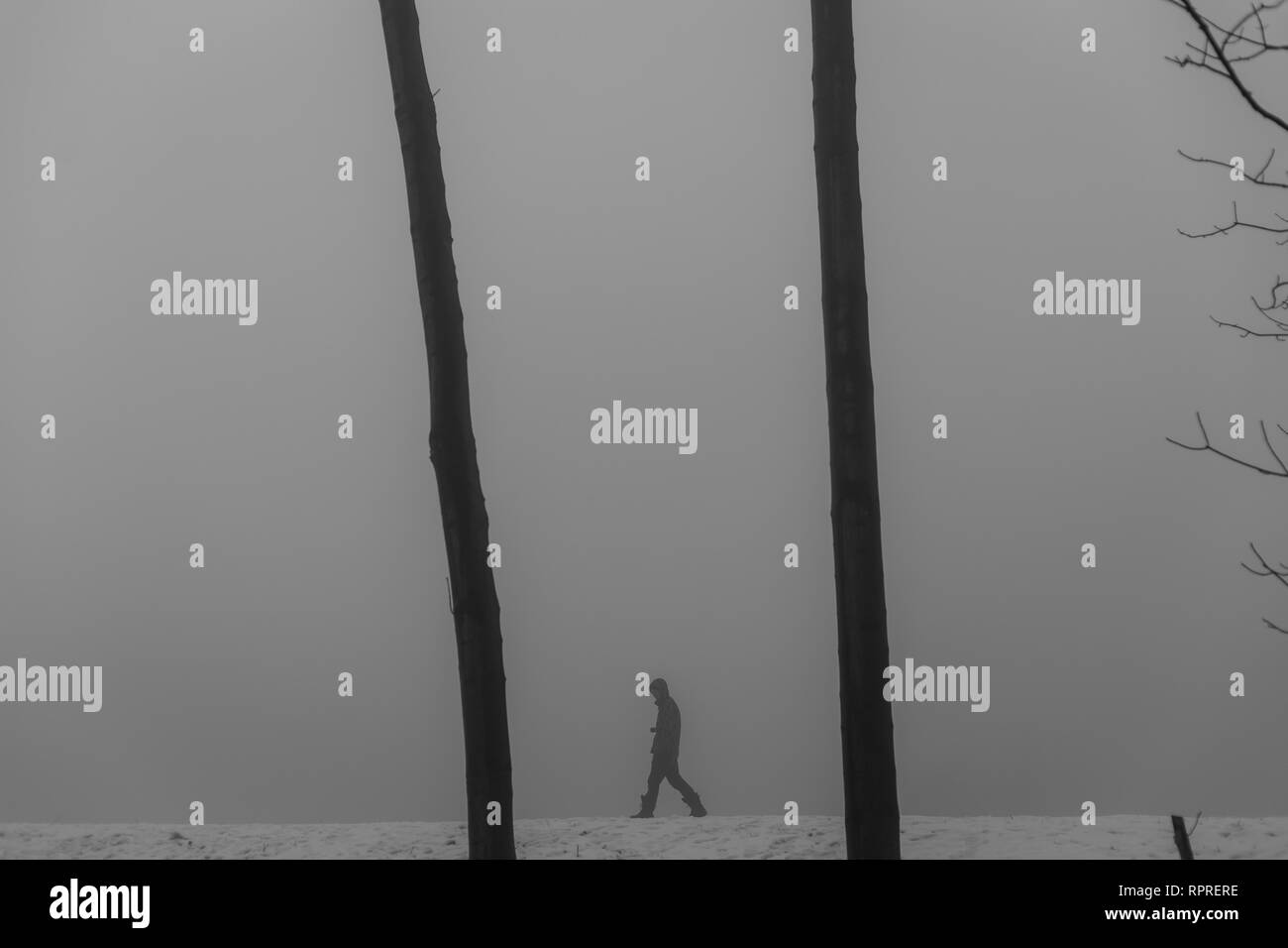 Man in mist wood Black and White Stock Photos & Images - Alamy
