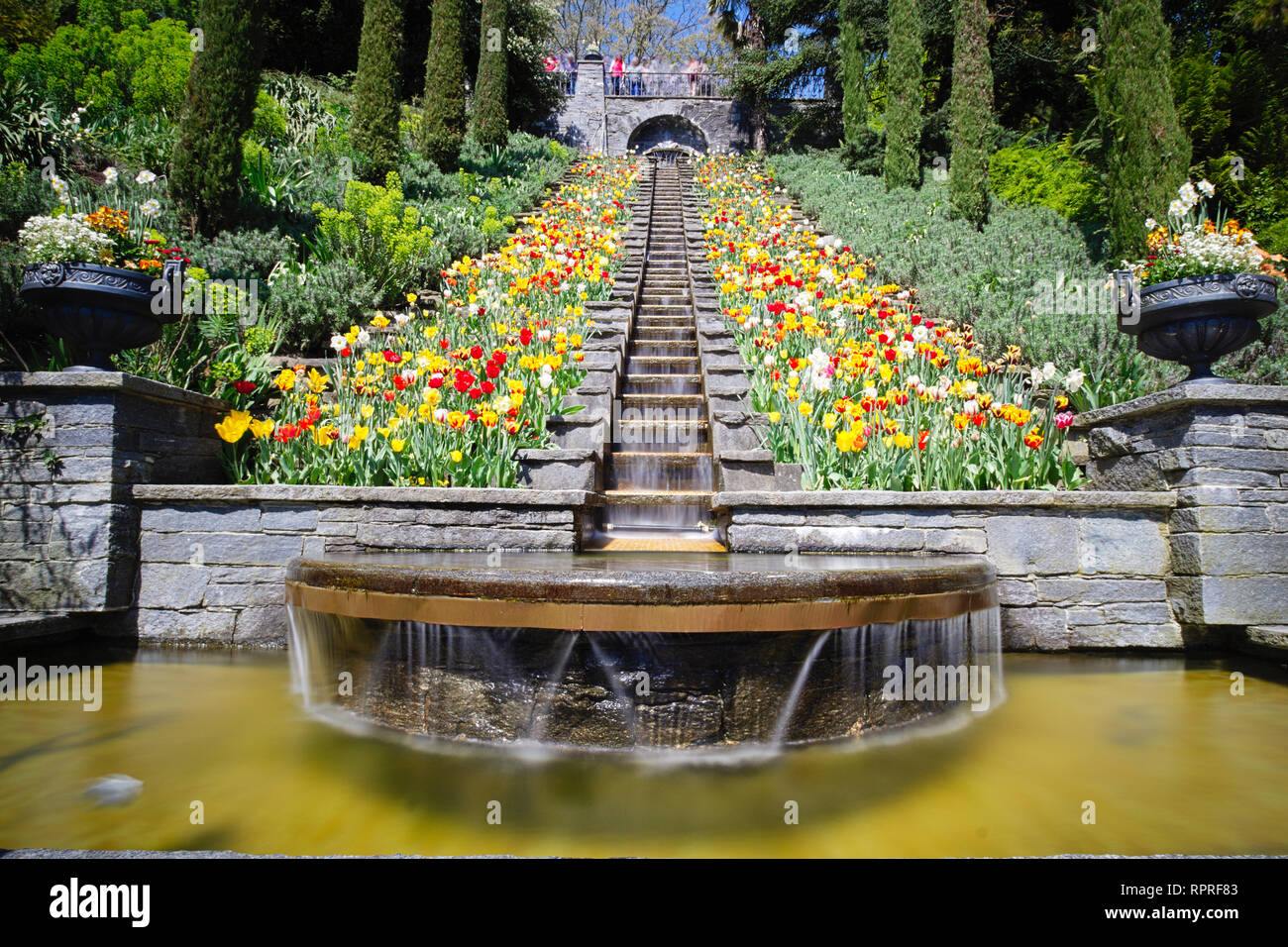 beautiful floral cascade with tulips Stock Photo - Alamy