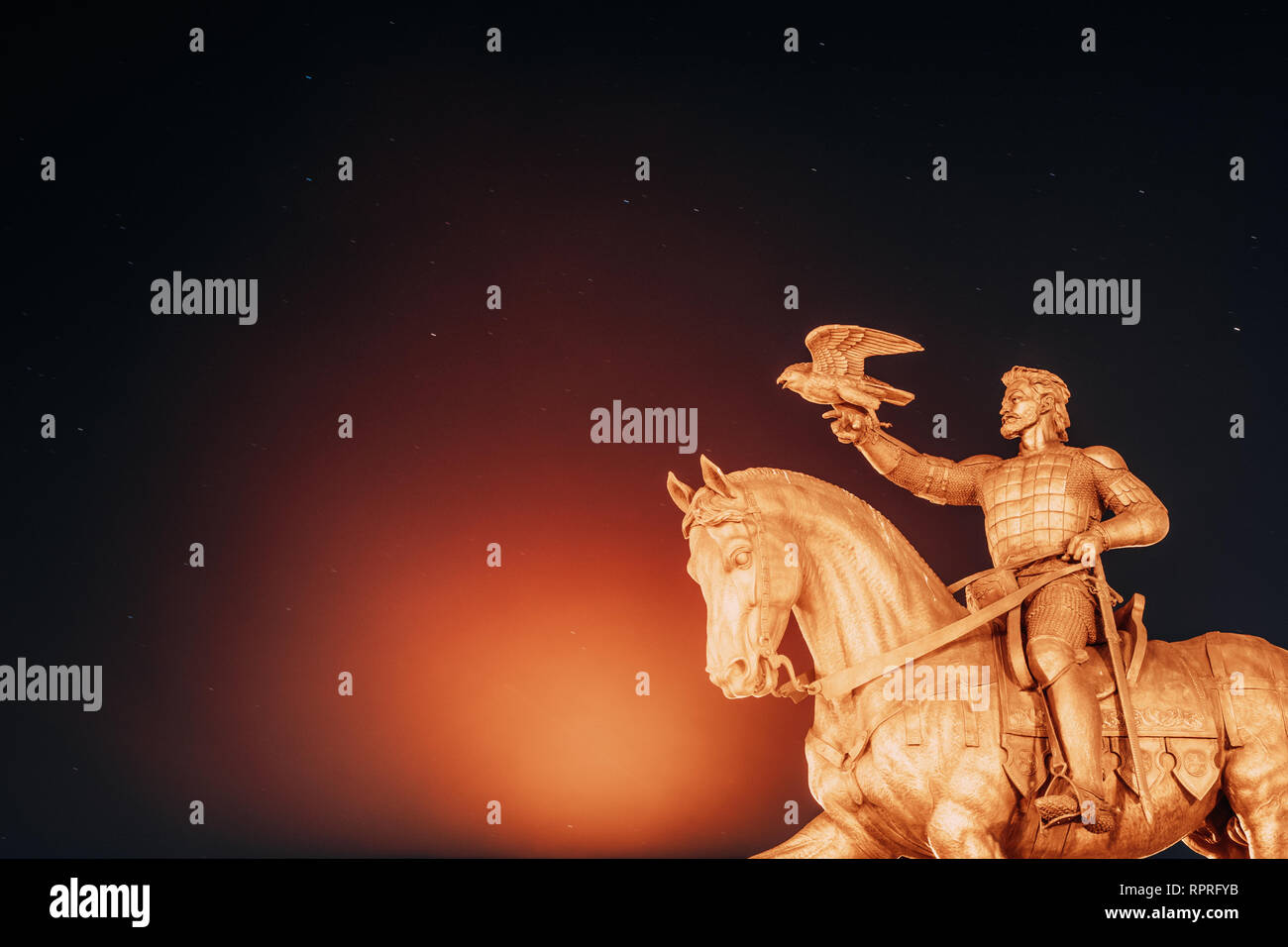 National bird of belarus hi-res stock photography and images - Alamy
