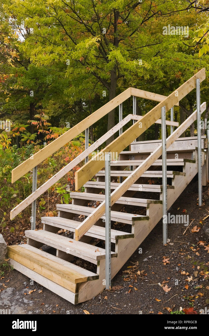 New wooden stairs installed in a public park in autumn bordered by ...