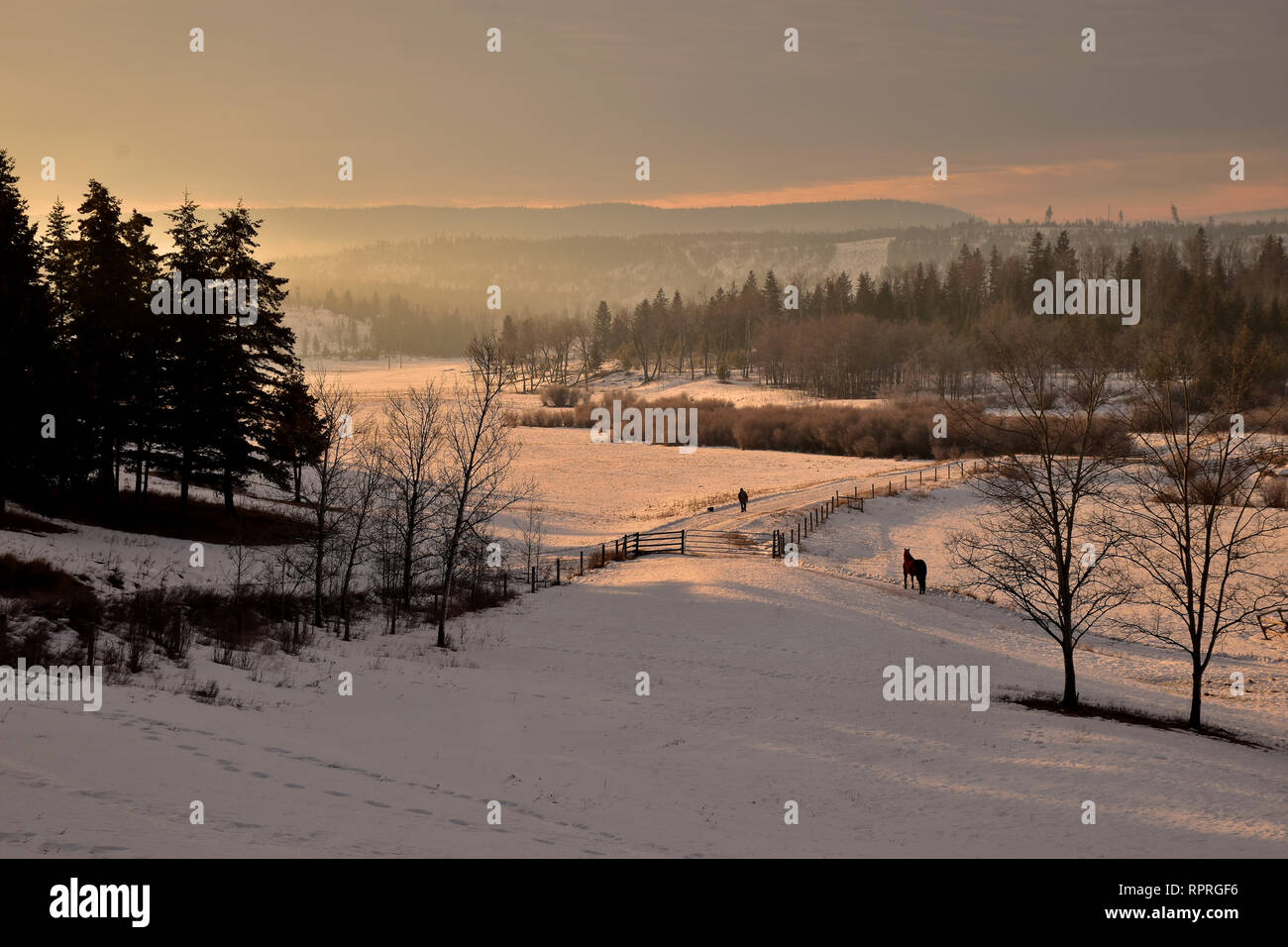 Brisk walk in the sunshine hi-res stock photography and images - Alamy