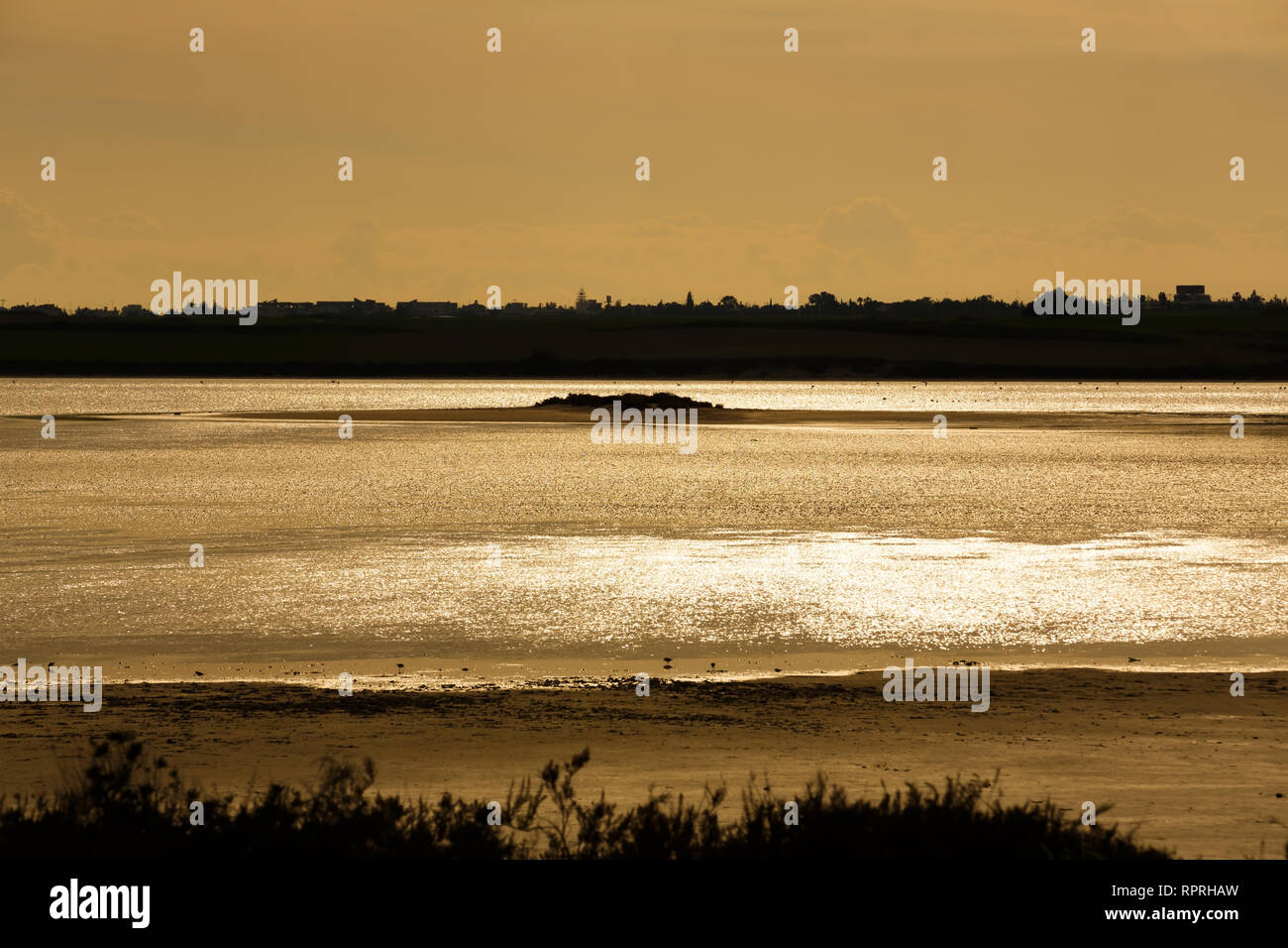 The shining surface of the Salt lake in Larnaca at the sunset, Cyprus ...