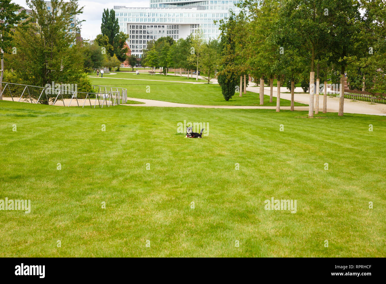 Green hamburg hi-res stock photography and images - Alamy