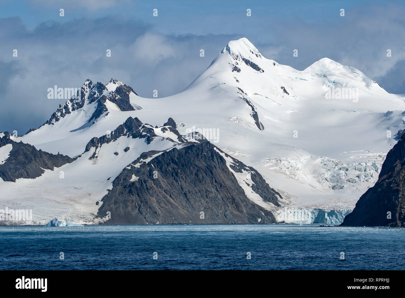 Elephant island hi-res stock photography and images - Alamy
