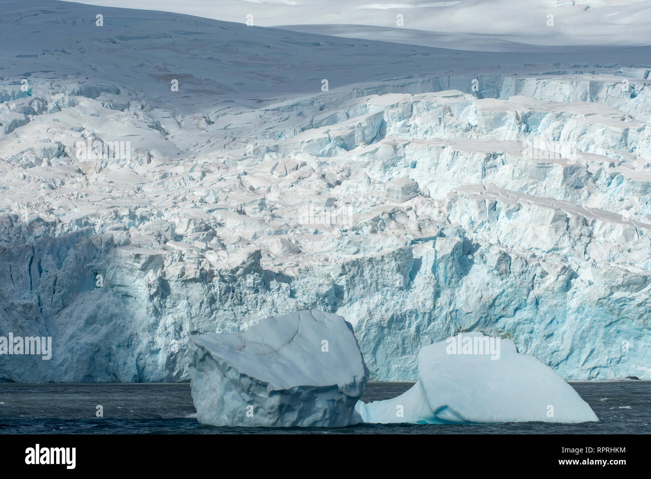 Glacier at Point Wild, Elephant Island Stock Photo - Alamy