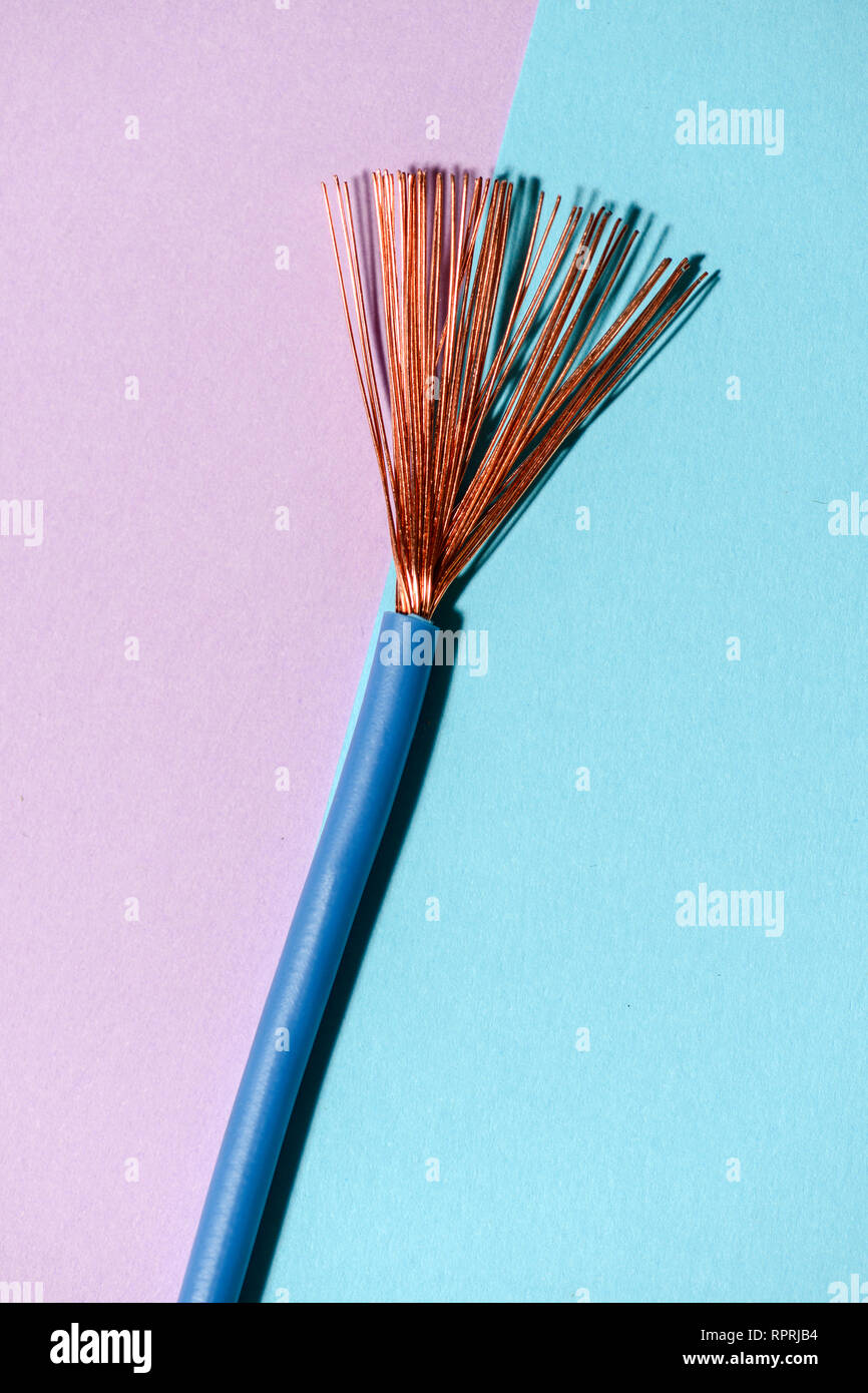 Electrical cable on pink and blue background. Spread out copper wires ...