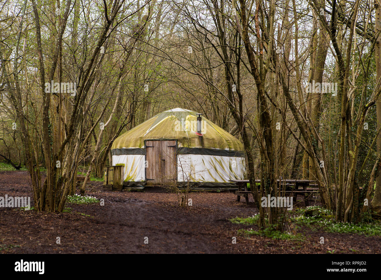 Traditional yurt in the woods, glamping in winter Stock Photo - Alamy