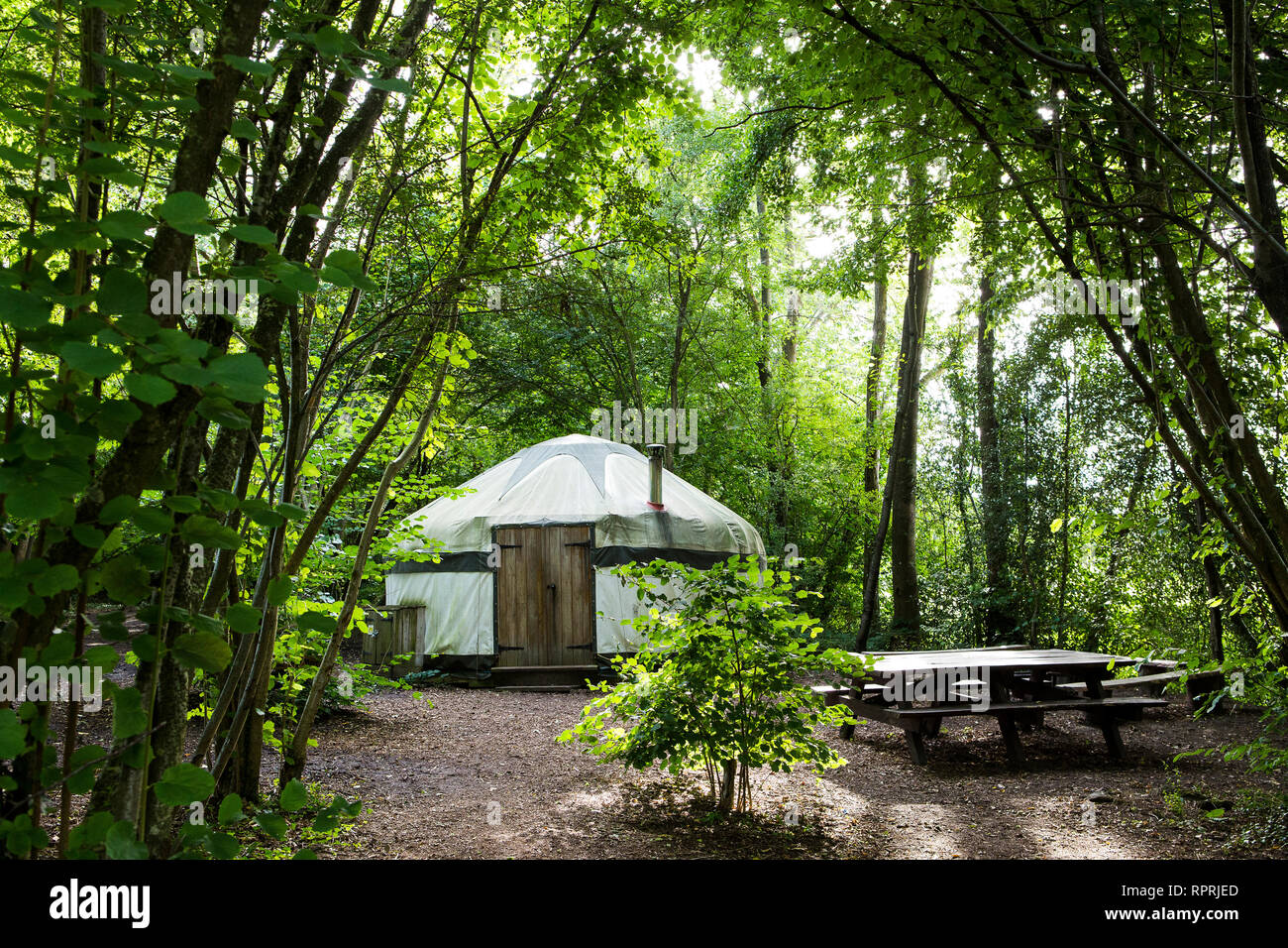 Traditional yurt in the woods, glamping in Spring / Summer Stock Photo ...