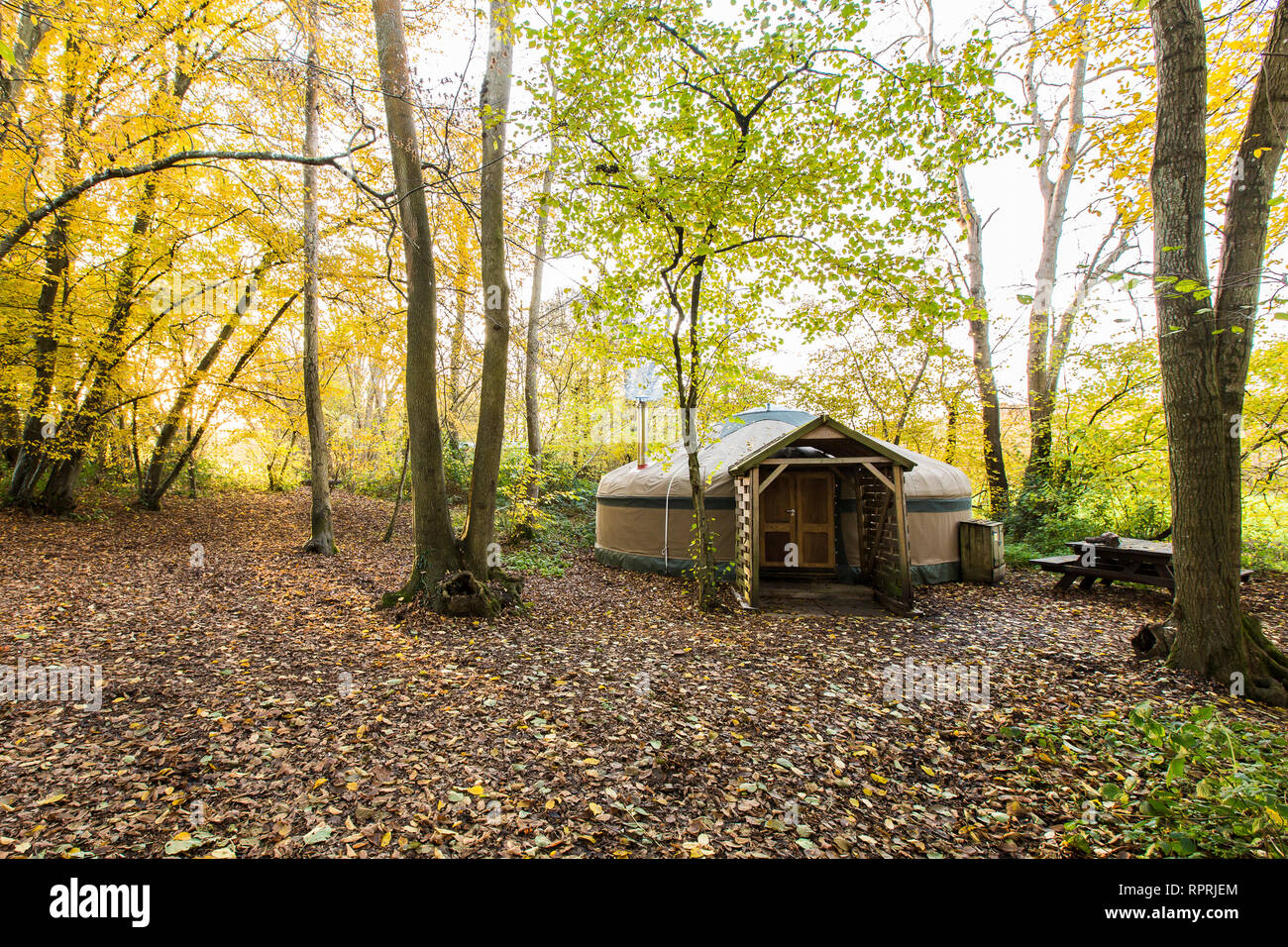 Traditional yurt in the woods, glamping in Autumn / Winter Stock Photo ...