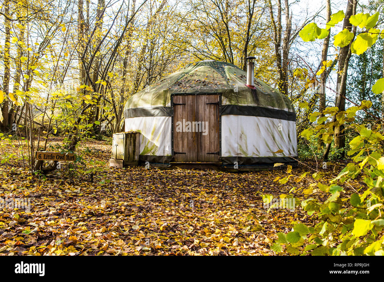 Traditional yurt in the woods, glamping in autumn sunshine Stock Photo ...