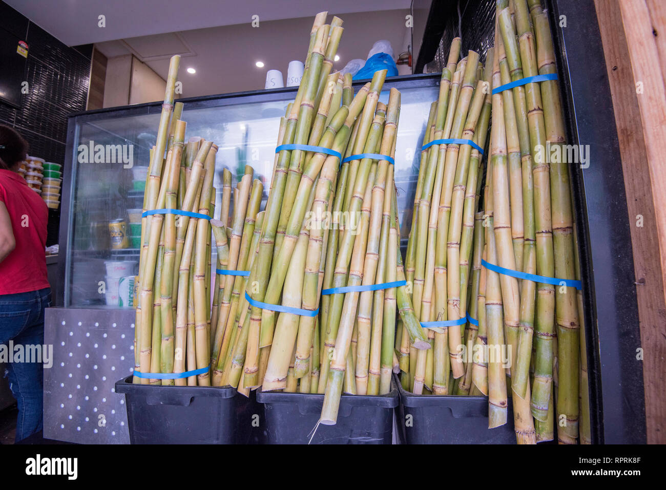Sugar cane canes or stick for sale as is or crushed for juice in a ...
