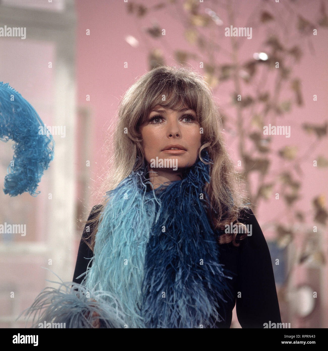 Vivi hi-res stock photography and images - Alamy