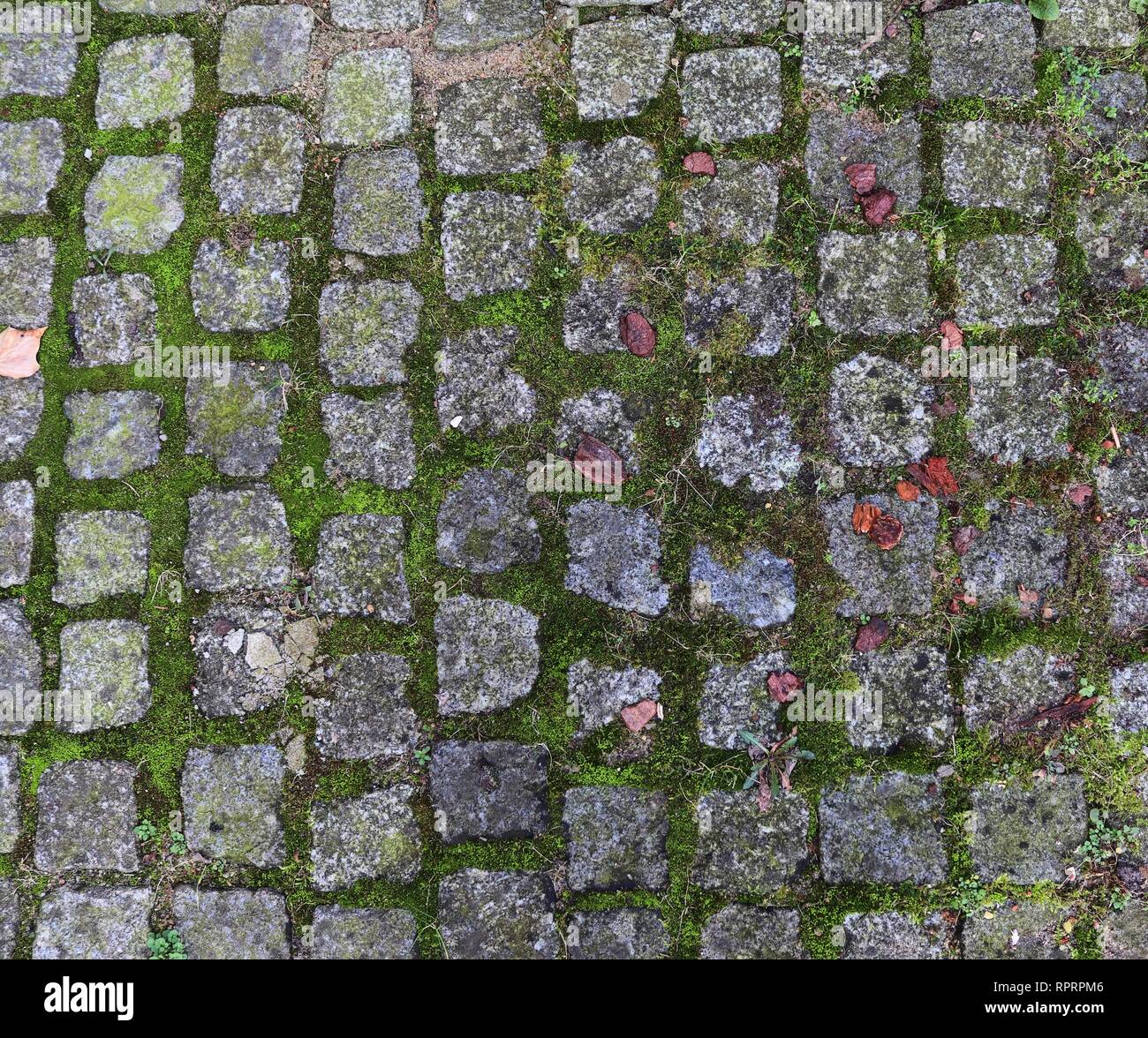 Close up surface of cobblestone in high resolution Stock Photo - Alamy