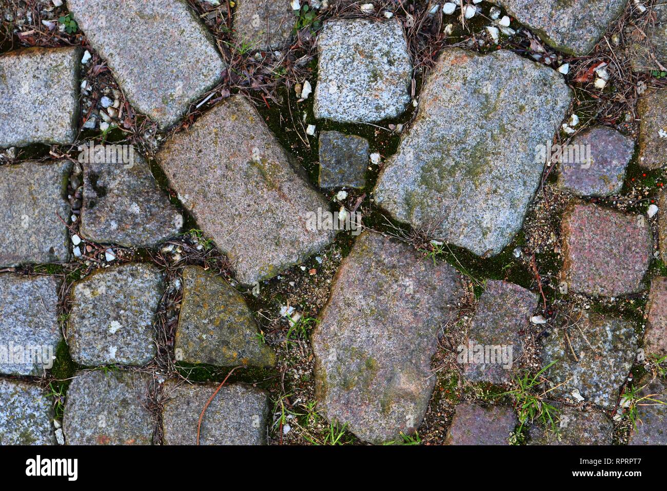 Close up surface of cobblestone in high resolution Stock Photo - Alamy