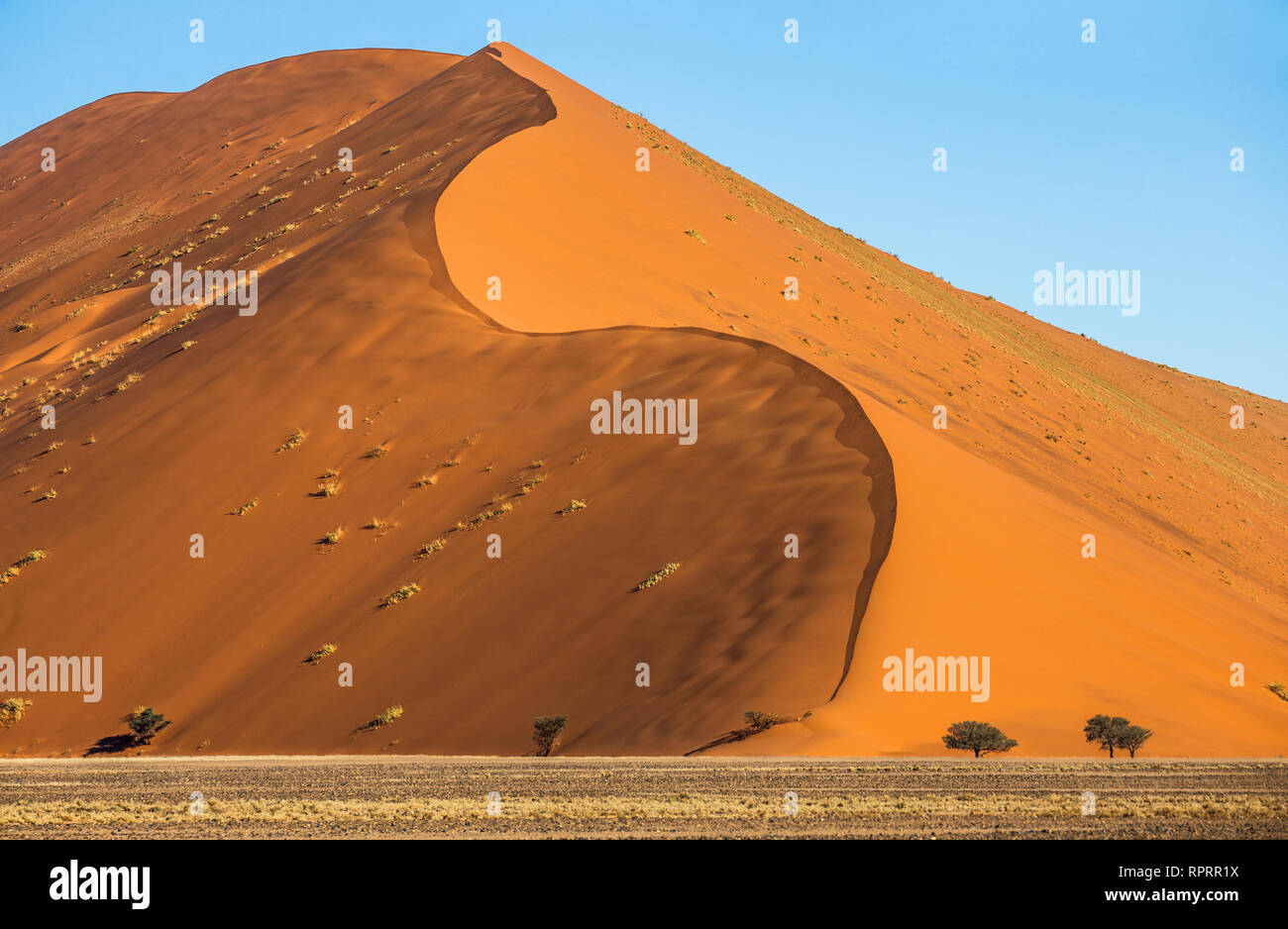 Dunes of the Sossusvlei. Beautiful shapes. Stunning light and color ...