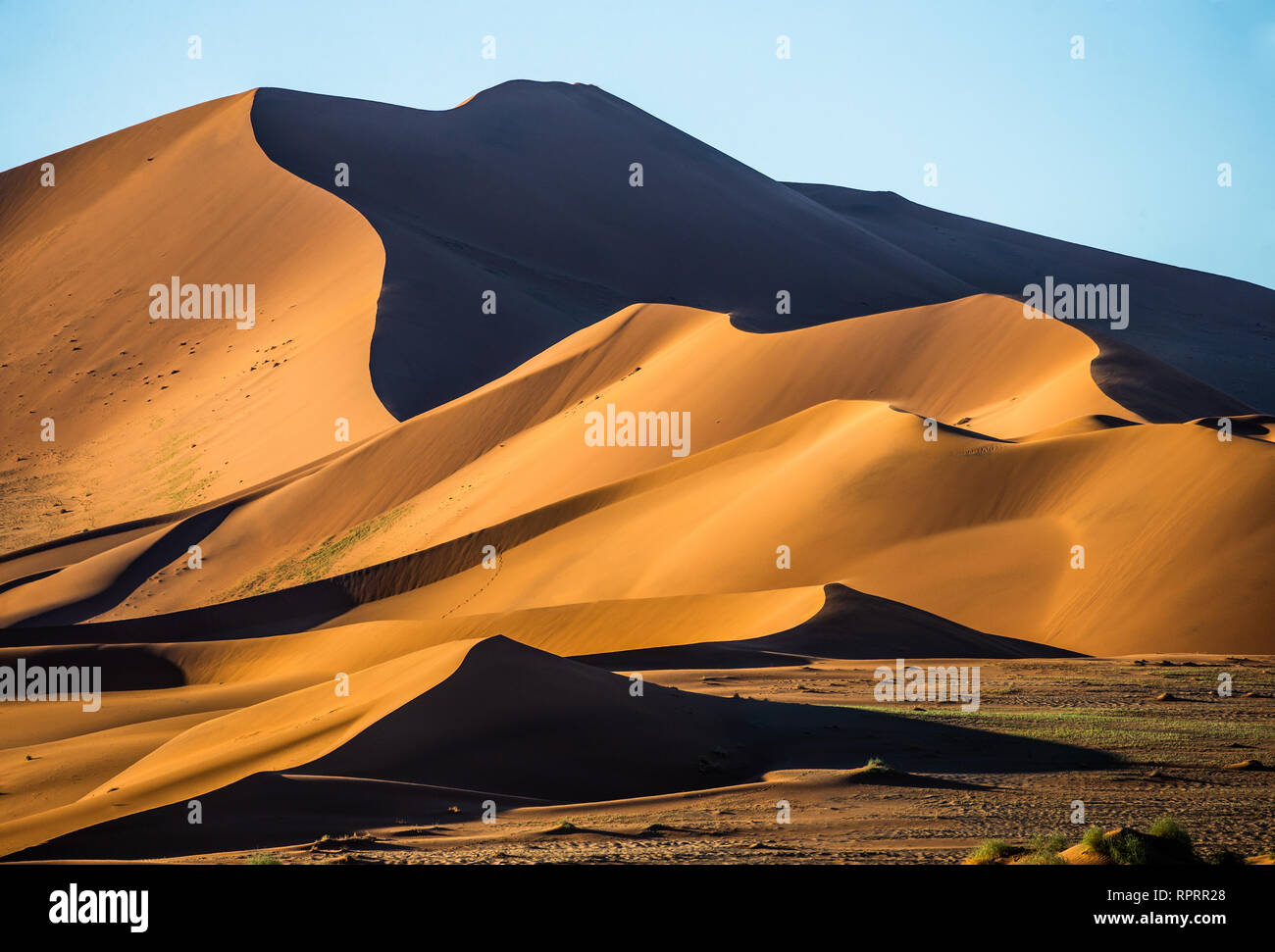 Dunes of the Sossusvlei. Beautiful shapes. Stunning light and color ...